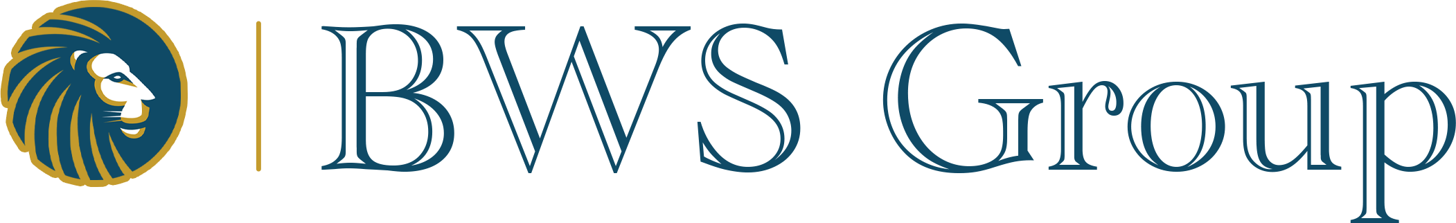 Contract Vehicles | Blake Willson Group